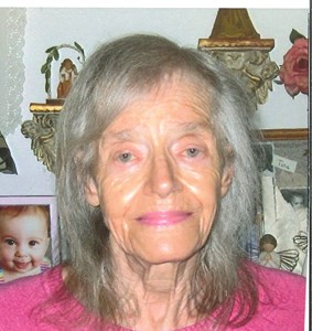 Judith Vincent's Instagram, Twitter & Facebook on IDCrawl